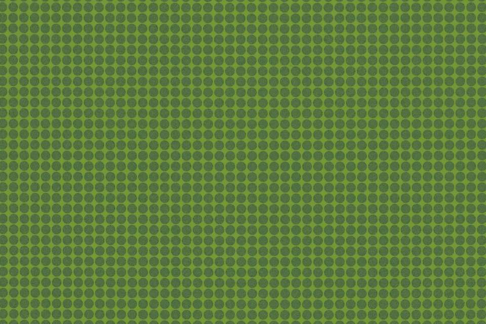 OFS - Big Dot Watermelon